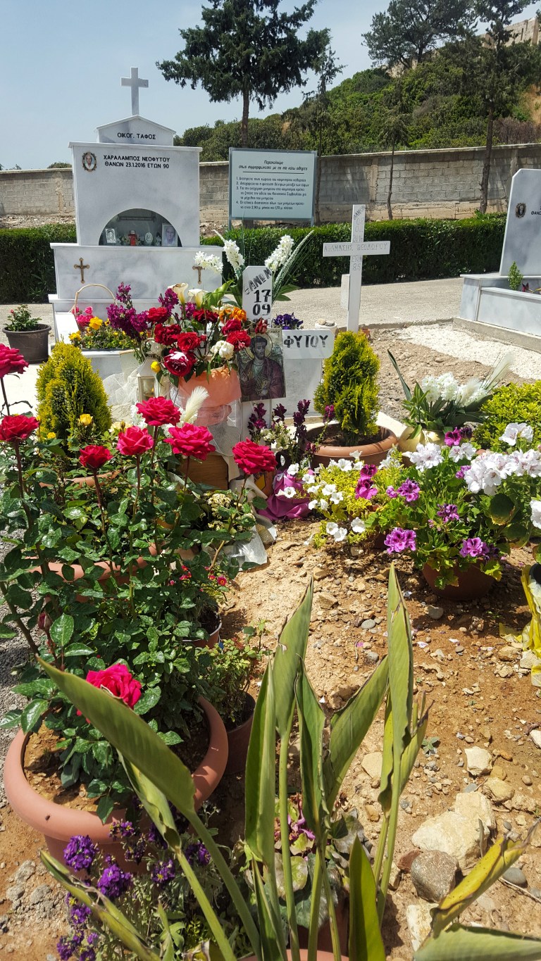 Kouklia: a Cypriot village oozing charm, culture and cats. – Always ...